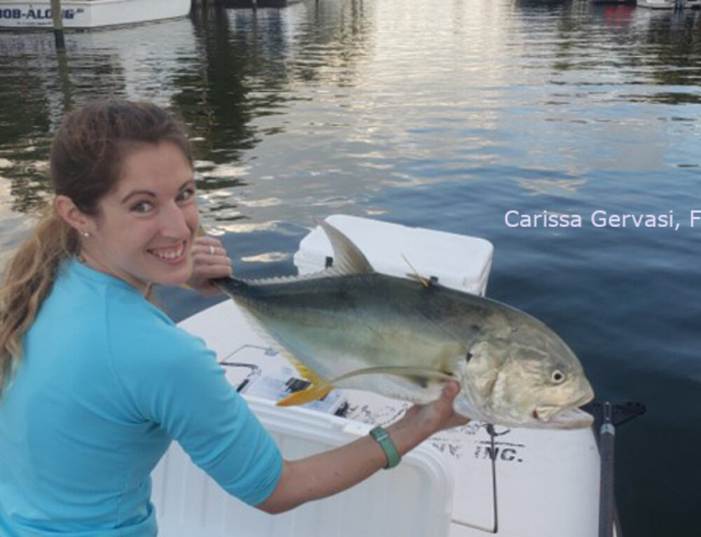 Atlantic Tripletail – iTag Science